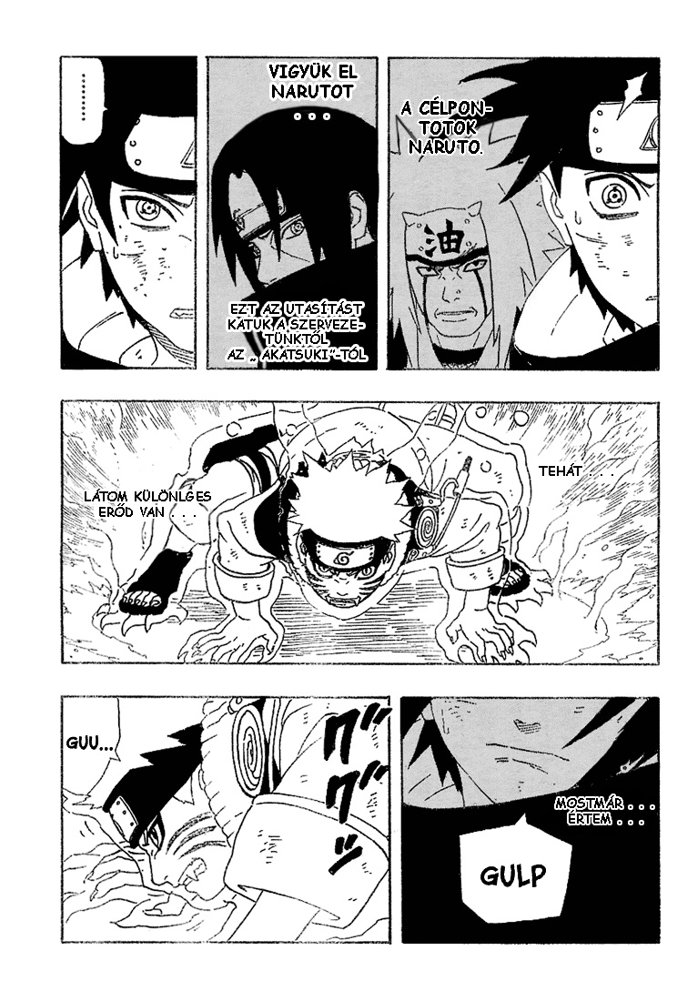 Naruto-kun.hu Mangaolvasó - Naruto - Chapter 231 - Page 5