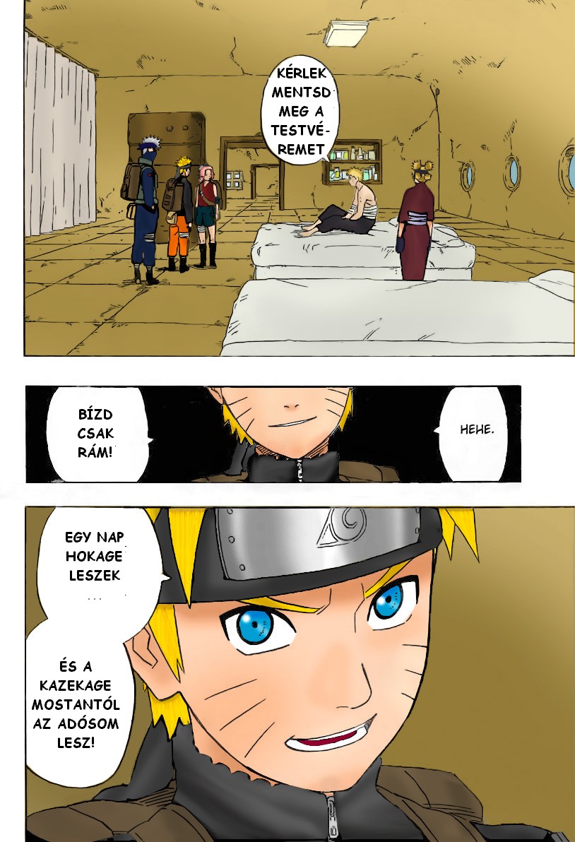 Naruto-kun.hu Mangaolvasó - Naruto - Chapter 254 - Page 12